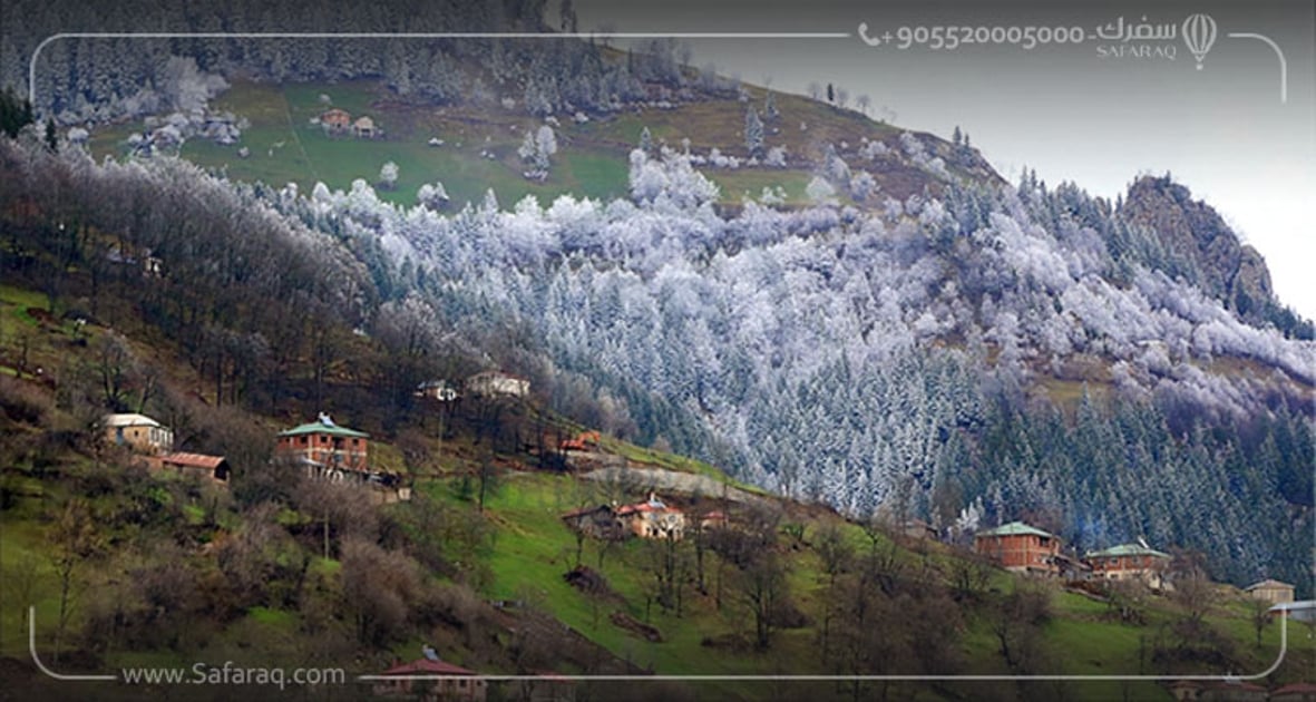 Zigana Trabzon: Tourist Village on Mount Zigana | Safaraq tourzim