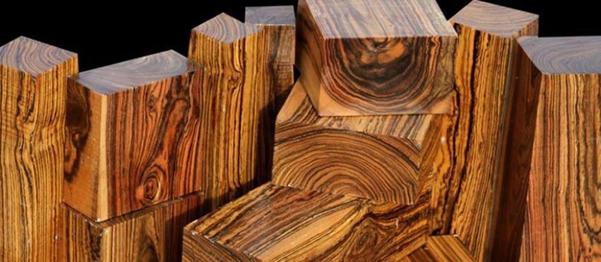Import of timber from Turkey: steps and conditions | Tebadul
