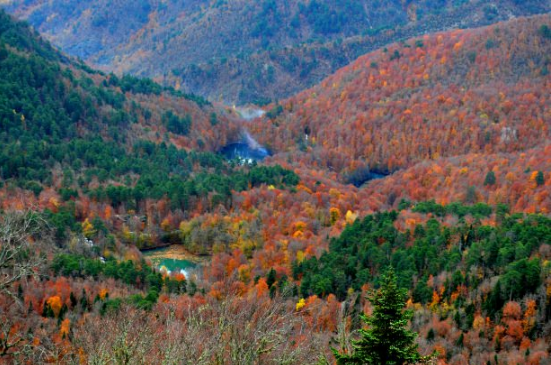 Explore the Most Beautiful Tourist Places in Bolu in Turkey | Safaraq ...