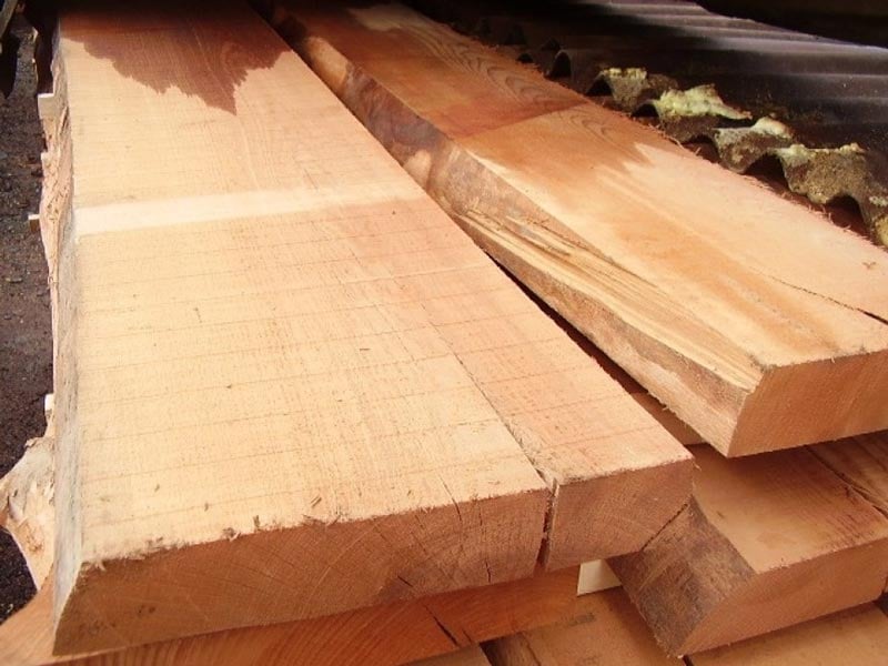 Import of timber from Turkey: steps and conditions | Tebadul
