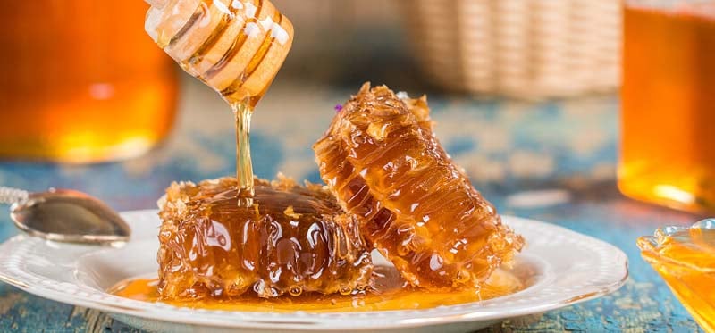 The Honey Industry in Turkey and Its Most Important Features | Tebadul